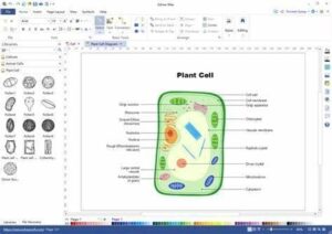 Biology Diagrams Description – Charts | Diagrams | Graphs