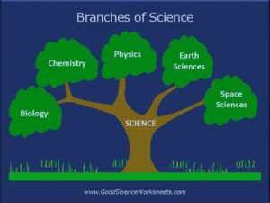 Branches Of Science – Charts | Diagrams | Graphs