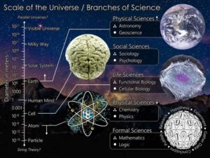 Branches Of Science Example – Charts | Diagrams | Graphs