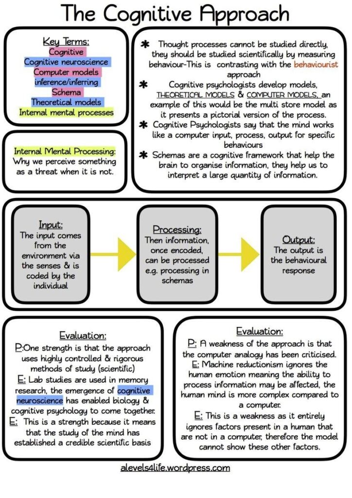 Cognitive Psychology Definition – Charts | Diagrams | Graphs