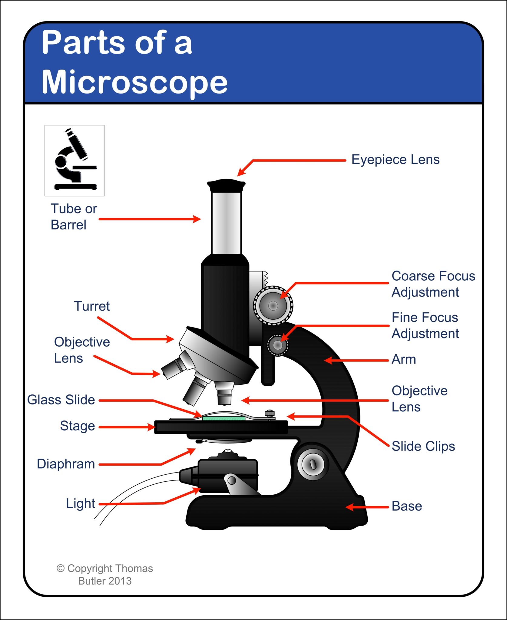 Compound Microscope Diagram – Charts | Diagrams | Graphs