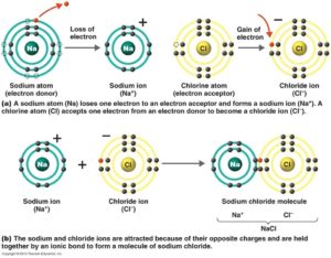 Dot And Cross Diagrams Of Ionic Bonding – Charts | Diagrams | Graphs