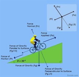Free Body Diagrams In Physics Science – Charts | Diagrams | Graphs