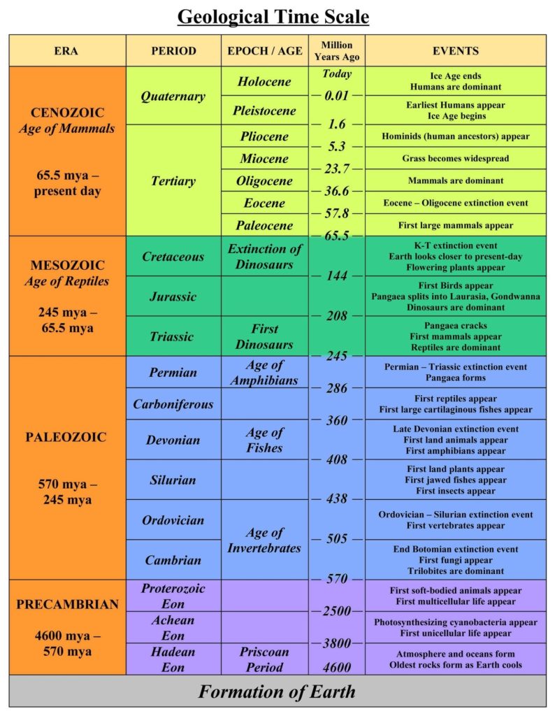 Geological Timeline Chart – Charts | Diagrams | Graphs