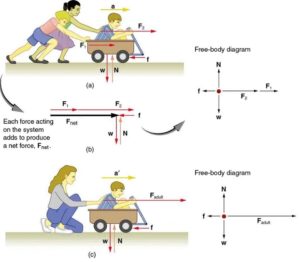 Newton’s Second Law Of Motion – Charts | Diagrams | Graphs