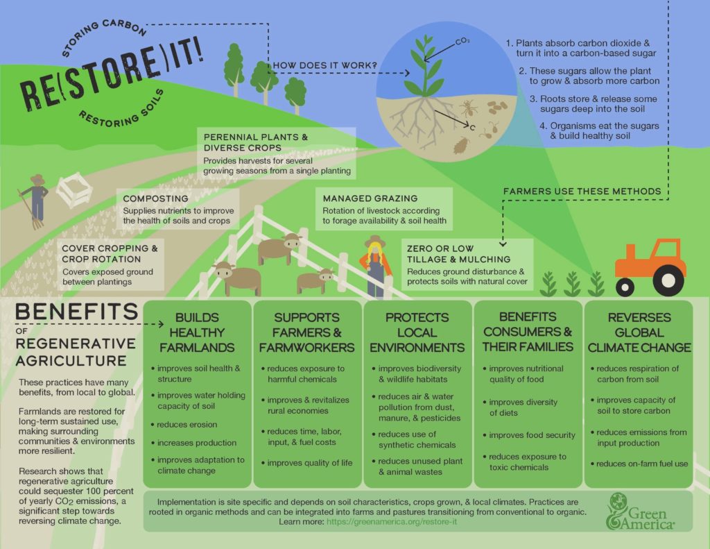 Regenerative Agriculture Explained – Charts | Diagrams | Graphs