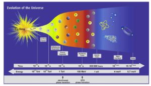 Standard Model Of Particle – Charts | Diagrams | Graphs