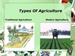 Types Of Agriculture Explained – Charts | Diagrams | Graphs